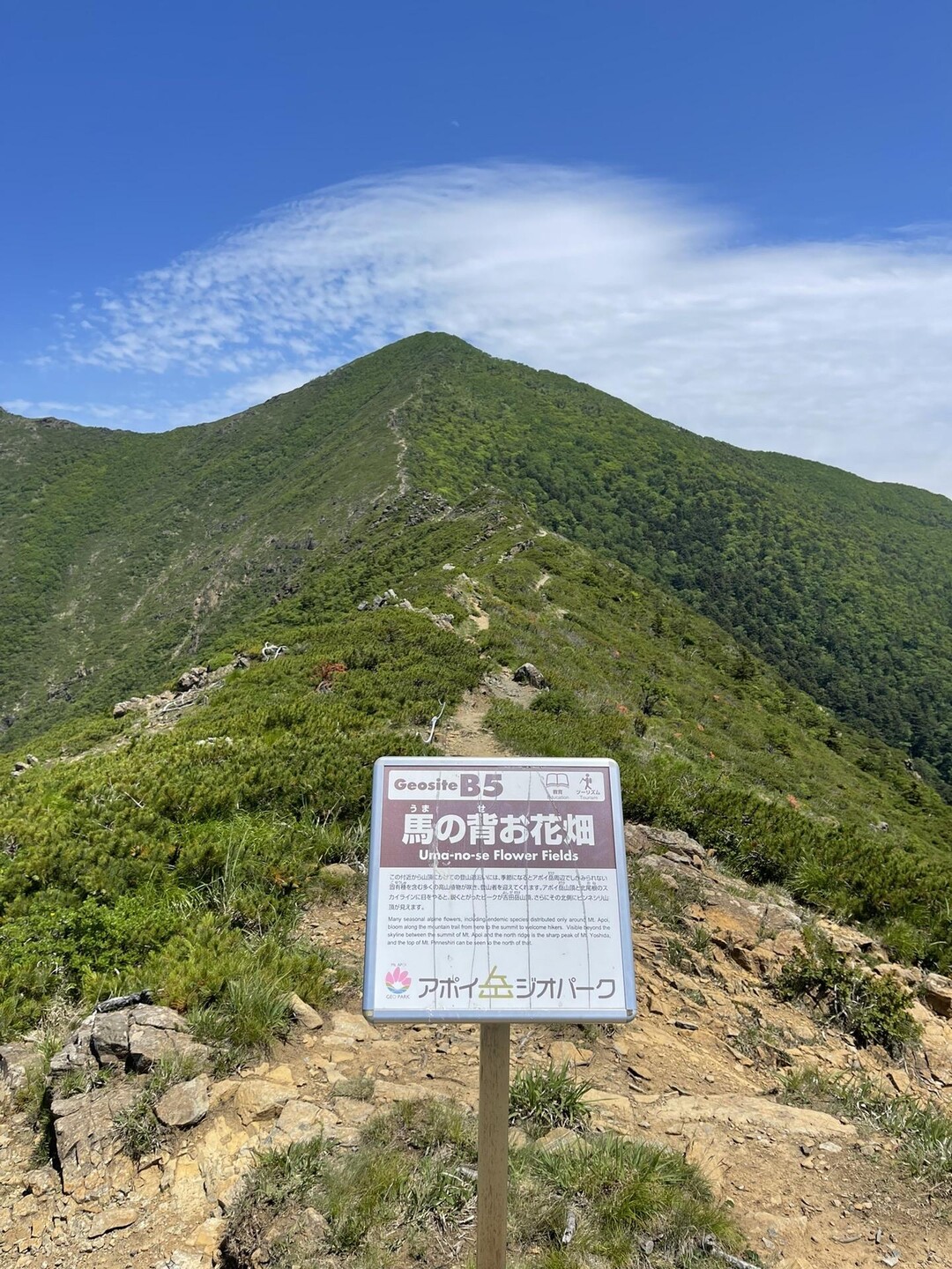 アポイ岳⛰️🌸 / MIOさんのアポイ岳の活動データ | YAMAP / ヤマップ