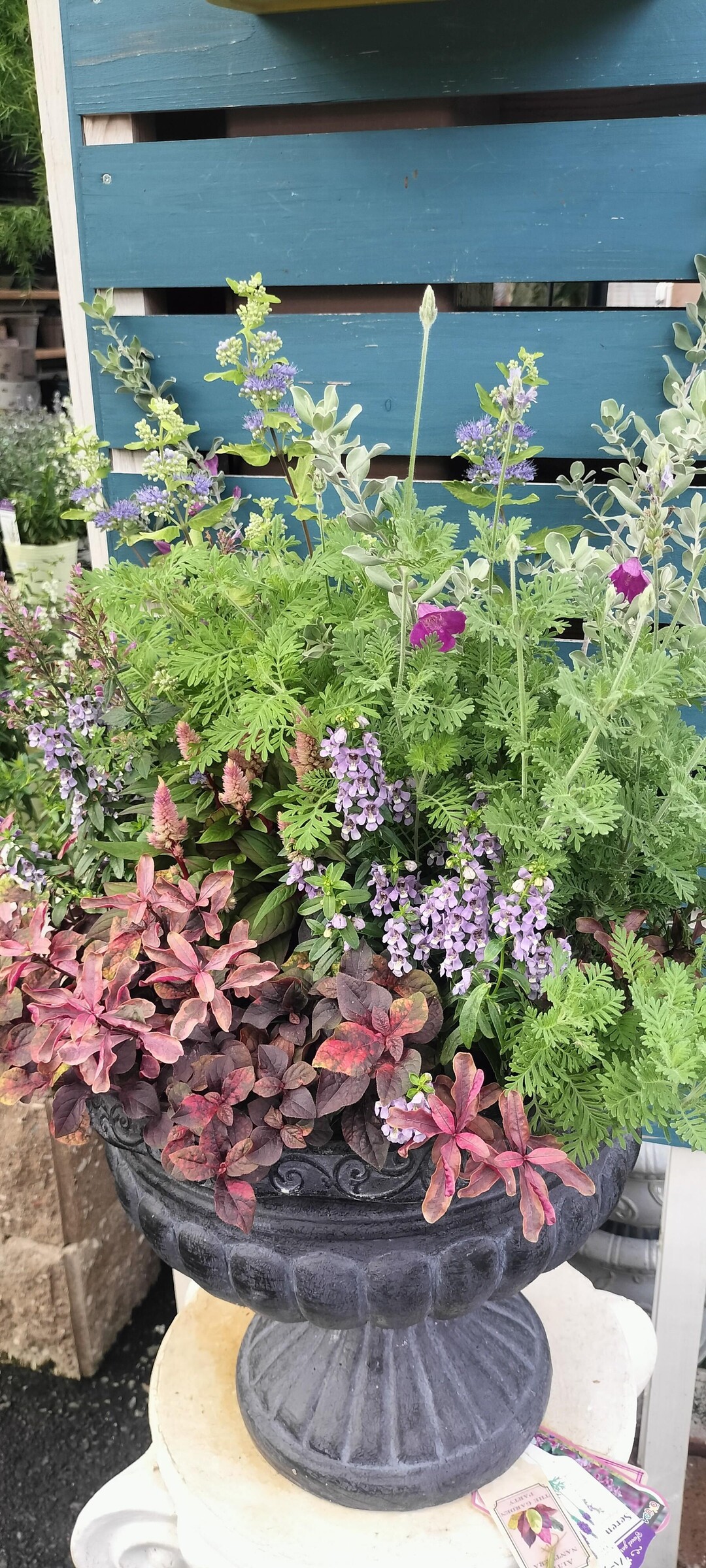 大文字山 8回目 / sawaさんの大文字山・如意ヶ嶽・稲荷山の活動データ | YAMAP / ヤマップ