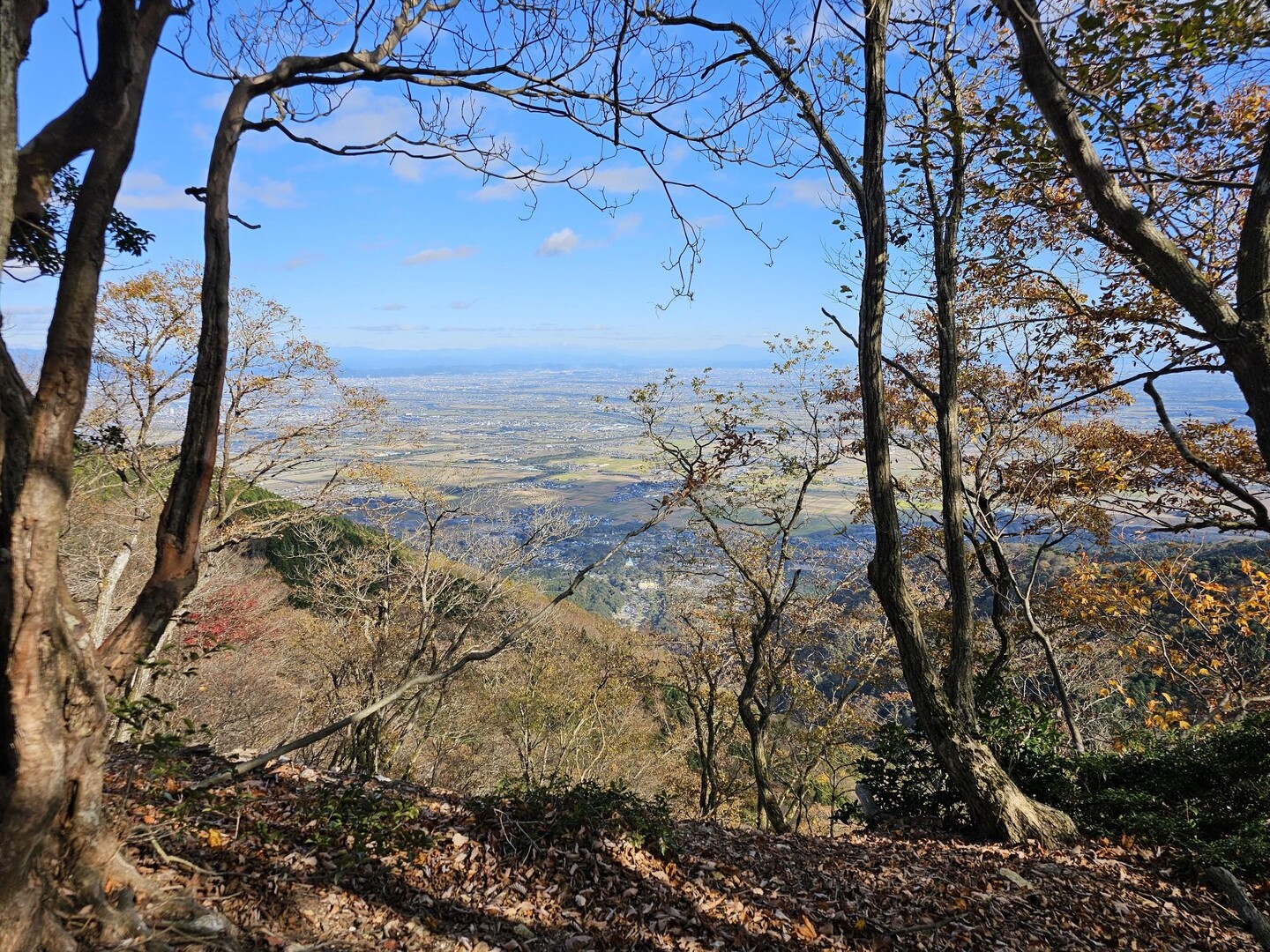 三方山・小倉山・養老山・北尾根P826峰・笙ヶ岳・笙ヶ岳（東峰）・裏山・表山 / daiさんの養老山・笙ヶ岳・三方山の活動データ | YAMAP / ヤマップ
