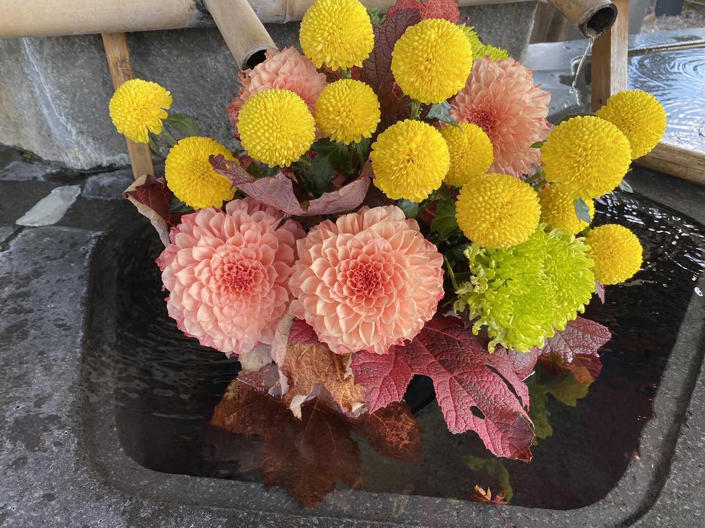 法多山のもみじまつり🍁に行ってきました... / hiroさんのモーメント | YAMAP / ヤマップ