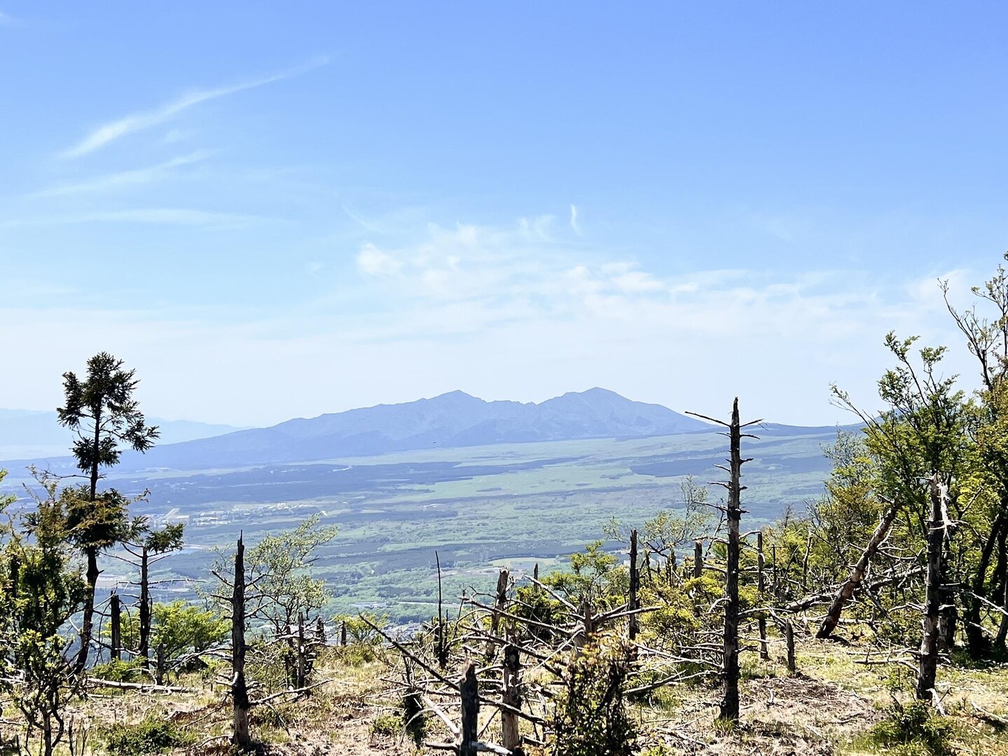 富士箱根トレイル 明神峠～冨士浅間神社 / ZUNさんの三国山の活動データ | YAMAP / ヤマップ