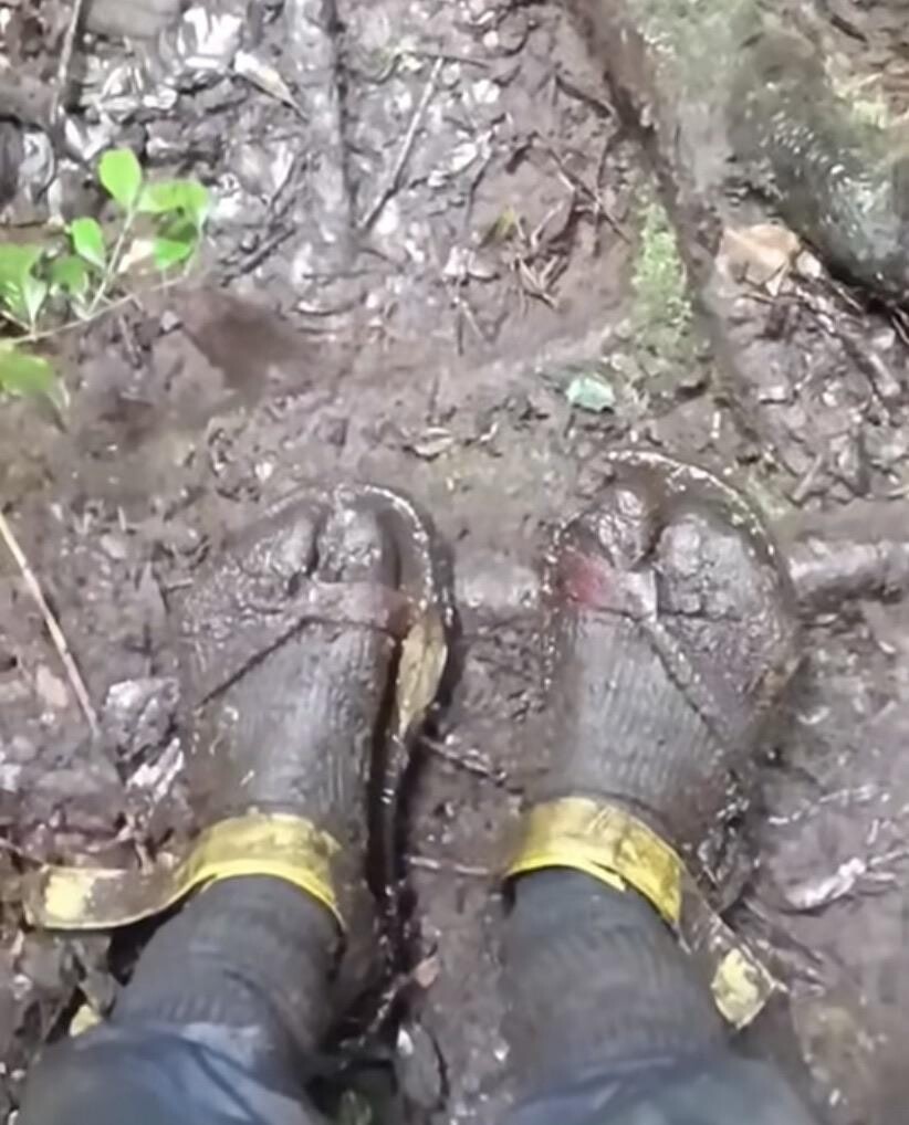 no going up, only go... / Corneさんのモーメント | YAMAP / ヤマップ