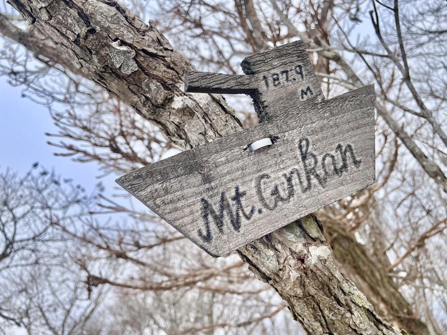 軍艦山 足底筋膜炎を抱えて😅 / TETSUさんの横山中岳の活動データ | YAMAP / ヤマップ