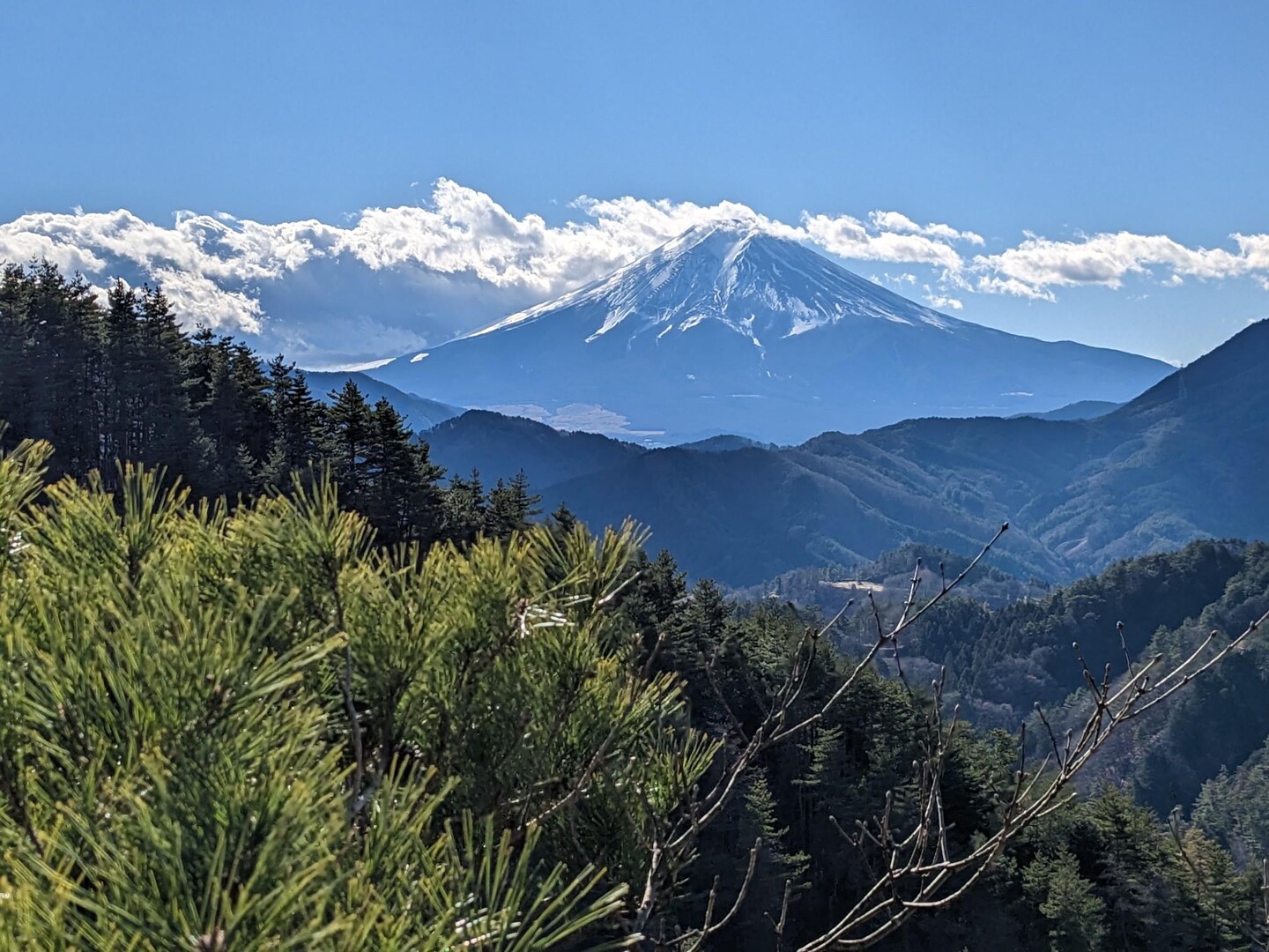 秀麗富嶽十二景:高川山 屏風岩 / hi-loさんの高川山の活動データ | YAMAP / ヤマップ
