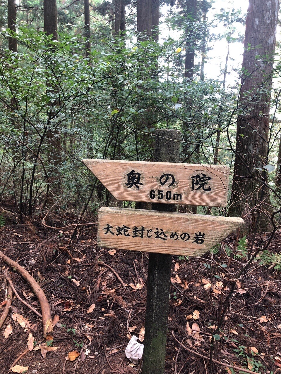 四国遍路 徳島⑥ … 焼山寺山へ。大蛇封じ込めの岩とは⁉️ 2021 10 16 Jyuzaさんの四国遍路その1の活動日記 Yamap