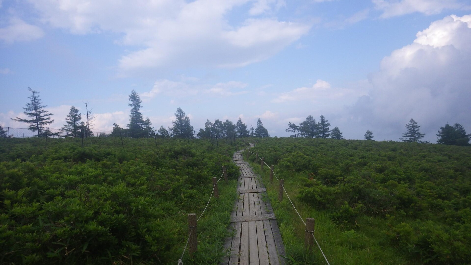 甘利山・奥甘利山 / TYさんの鳳凰山・地蔵岳・観音岳・薬師岳の活動データ | YAMAP / ヤマップ