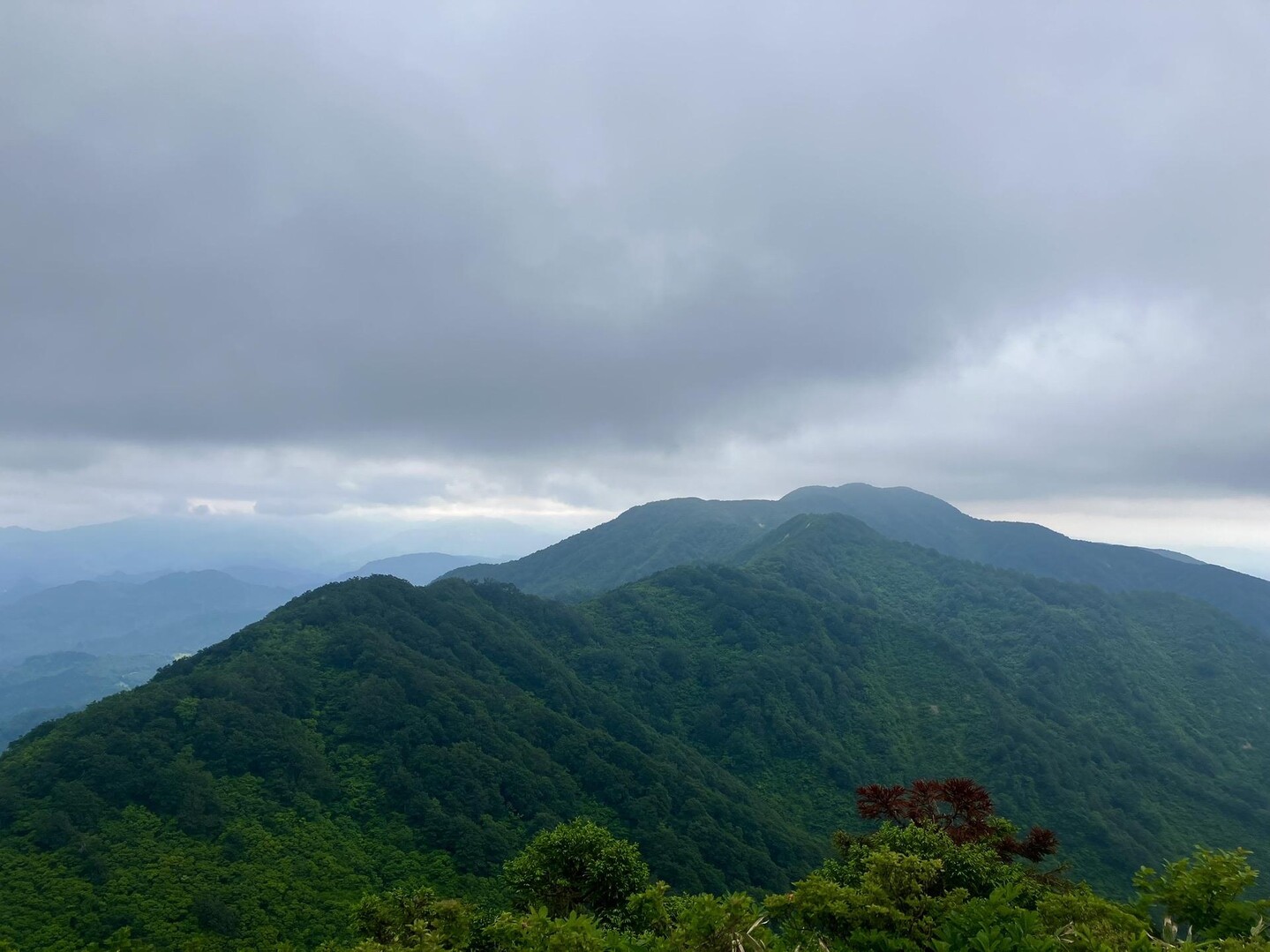 大事な事 ︎五頭山 / Naluさんの五頭山・菱ヶ岳・宝珠山の活動データ | YAMAP / ヤマップ