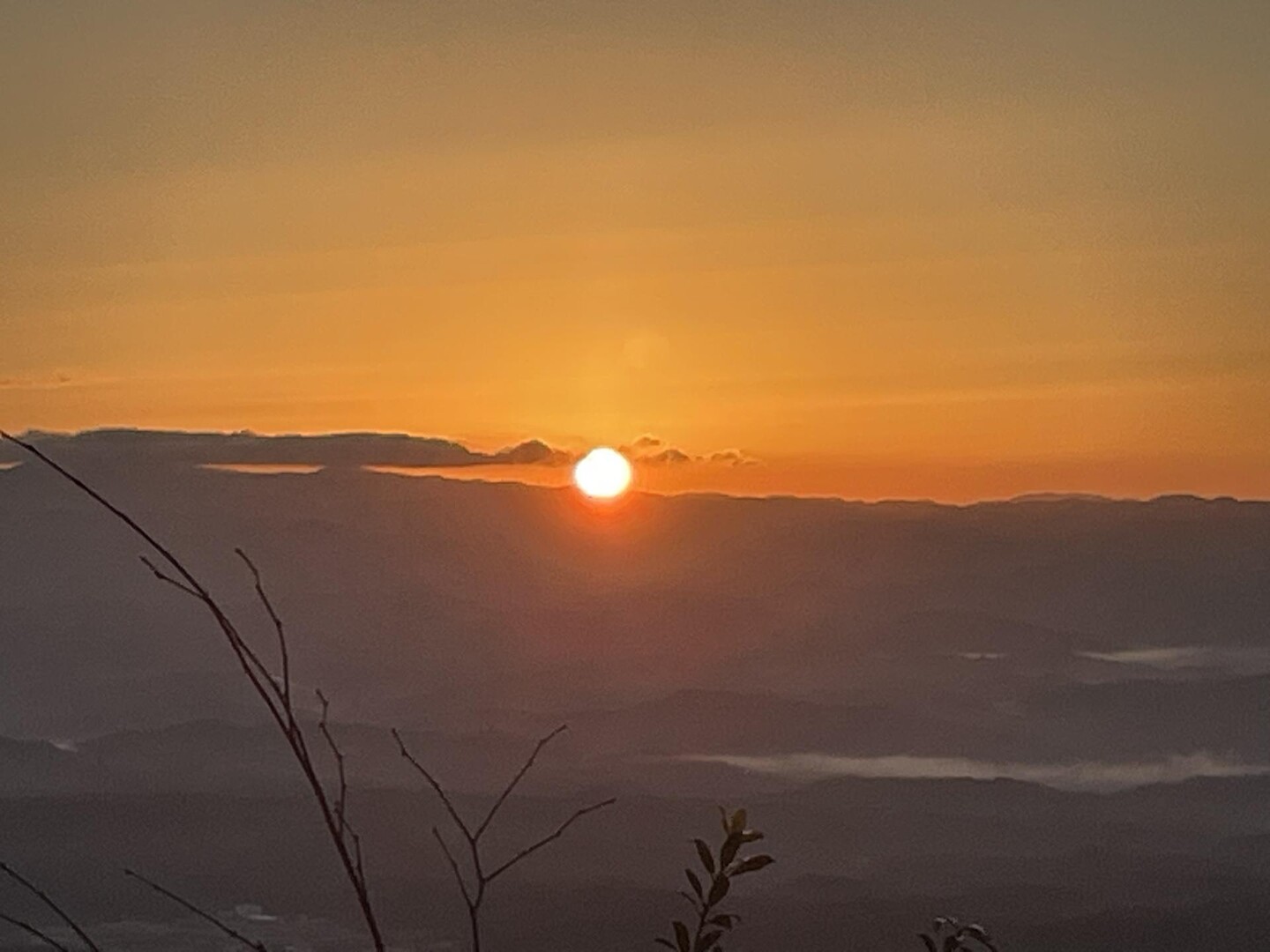 猿投山 / Ito_sanさんの猿投山・物見山の活動データ | YAMAP / ヤマップ