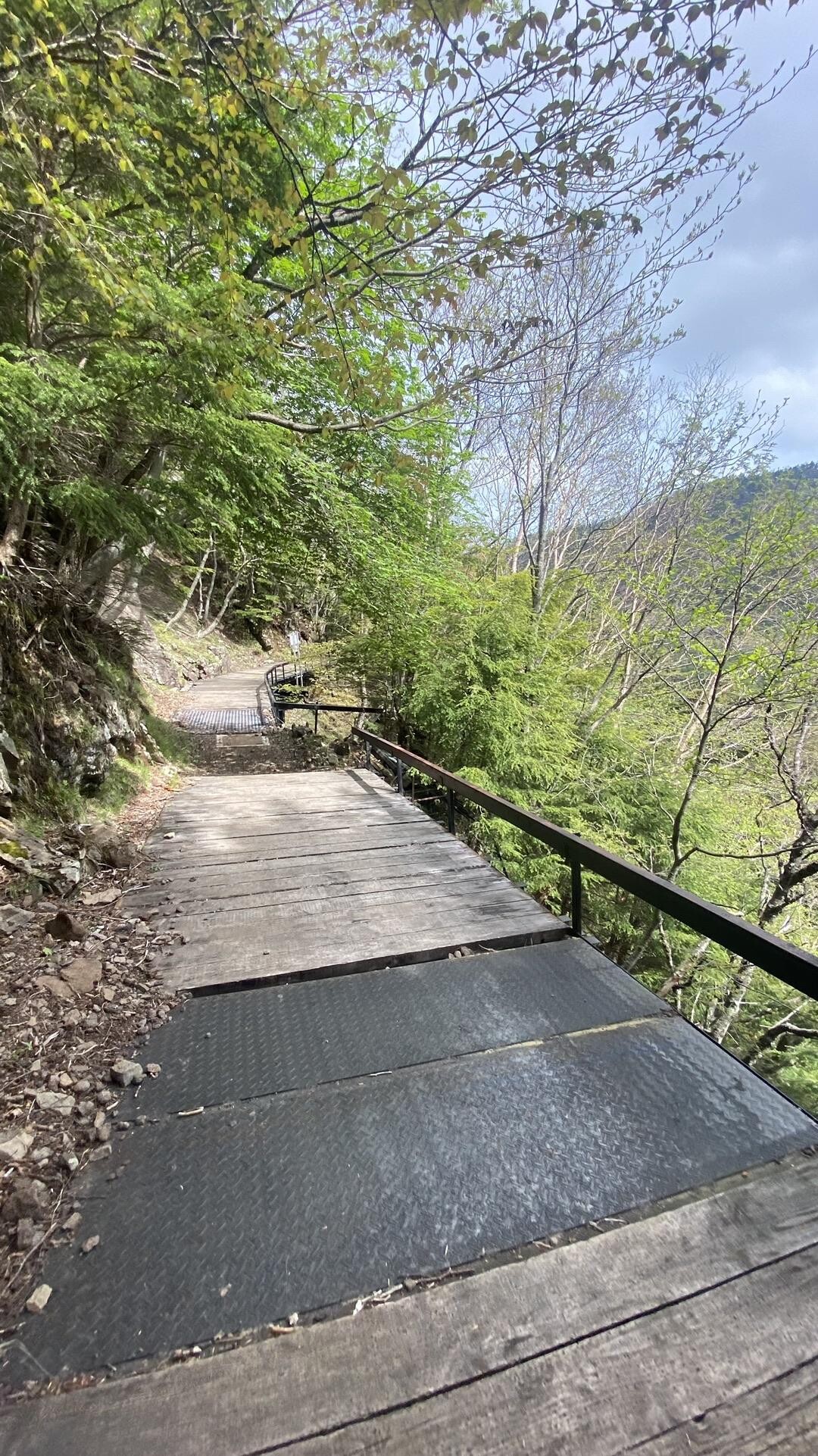 れんさんの投稿したフィールドメモ | YAMAP / ヤマップ