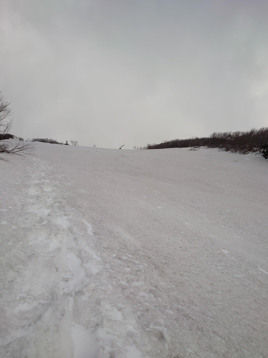 岩手山 / KMさんの岩手山・黒倉山・鞍掛山の活動データ | YAMAP / ヤマップ