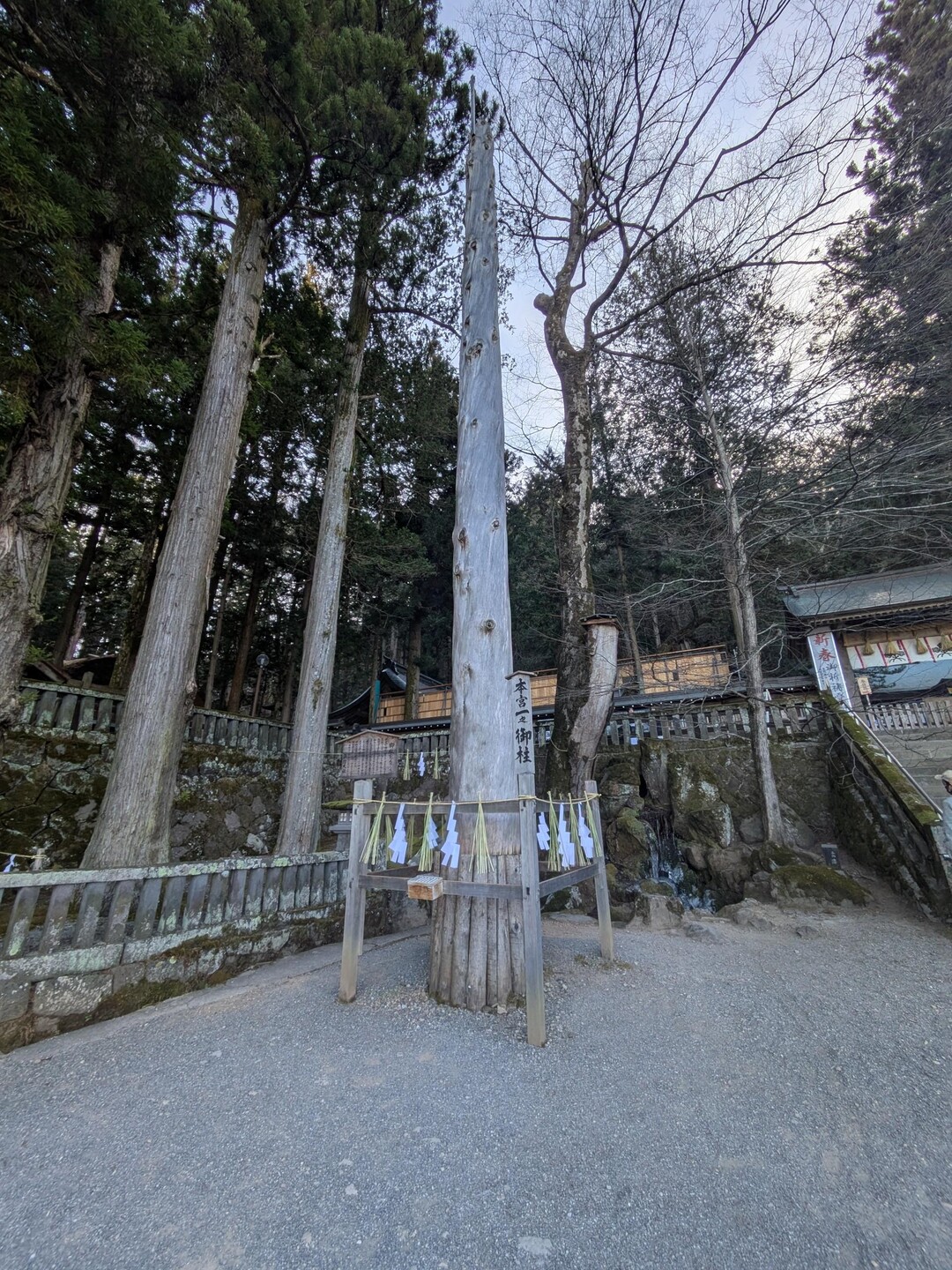 冬休み① / jonasanさんの登山の活動データ | YAMAP / ヤマップ