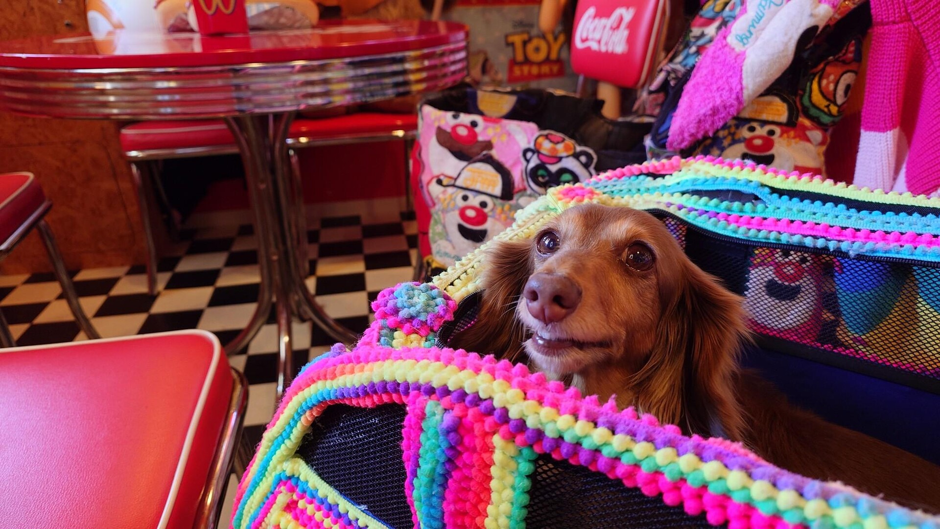 こんなわたしのGW🐒 もんちむでした ... / Pakkun🚶 & もんちむ🐒さんのモーメント | YAMAP / ヤマップ