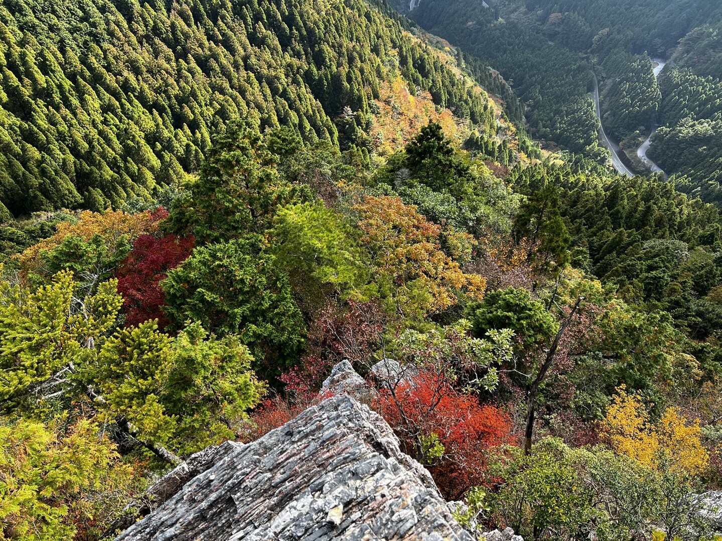 リベンジ黒滝峰岩陵コース😊 / mipiさんの工石山の活動データ | YAMAP / ヤマップ