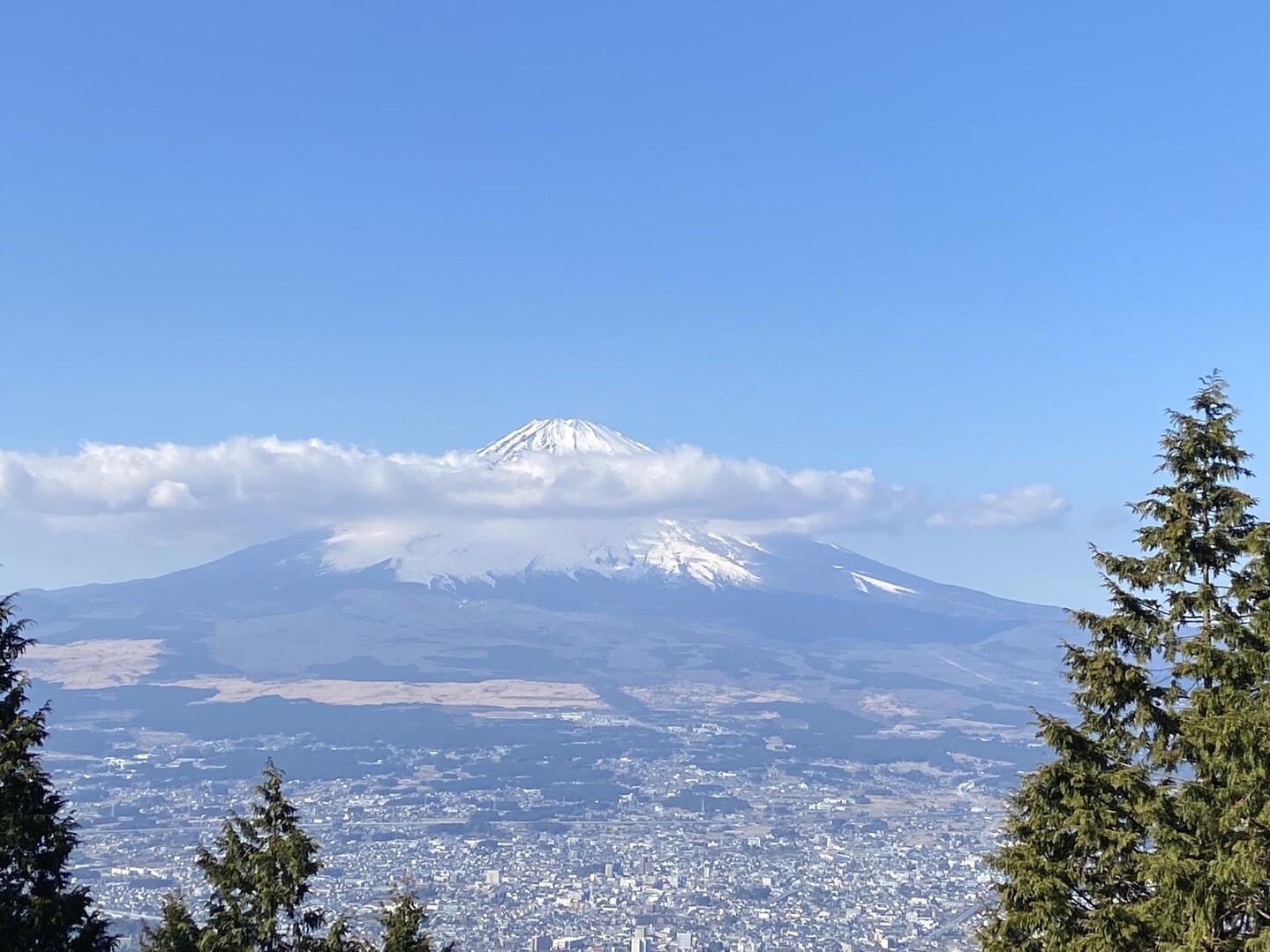 乙女峠BS〜金時山ピストン / にだまるさんの金時山・明神ヶ岳の活動データ | YAMAP / ヤマップ
