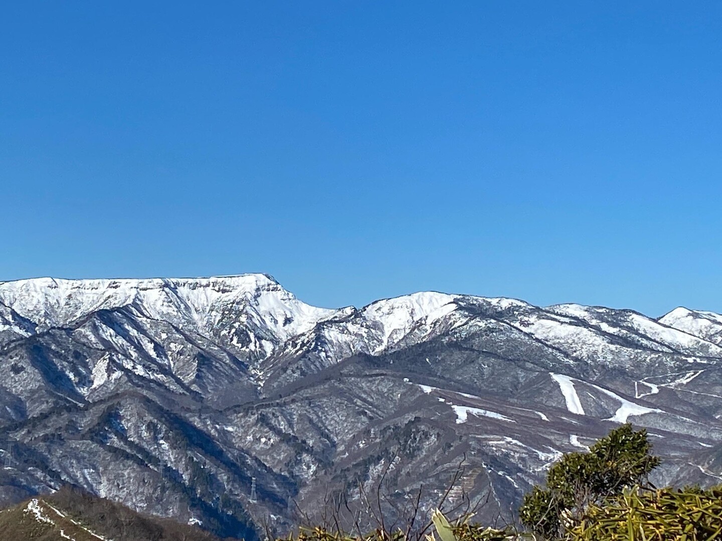 平標山 日帰り / tutuさんの仙ノ倉山・平標山・大源太山の活動データ | YAMAP / ヤマップ