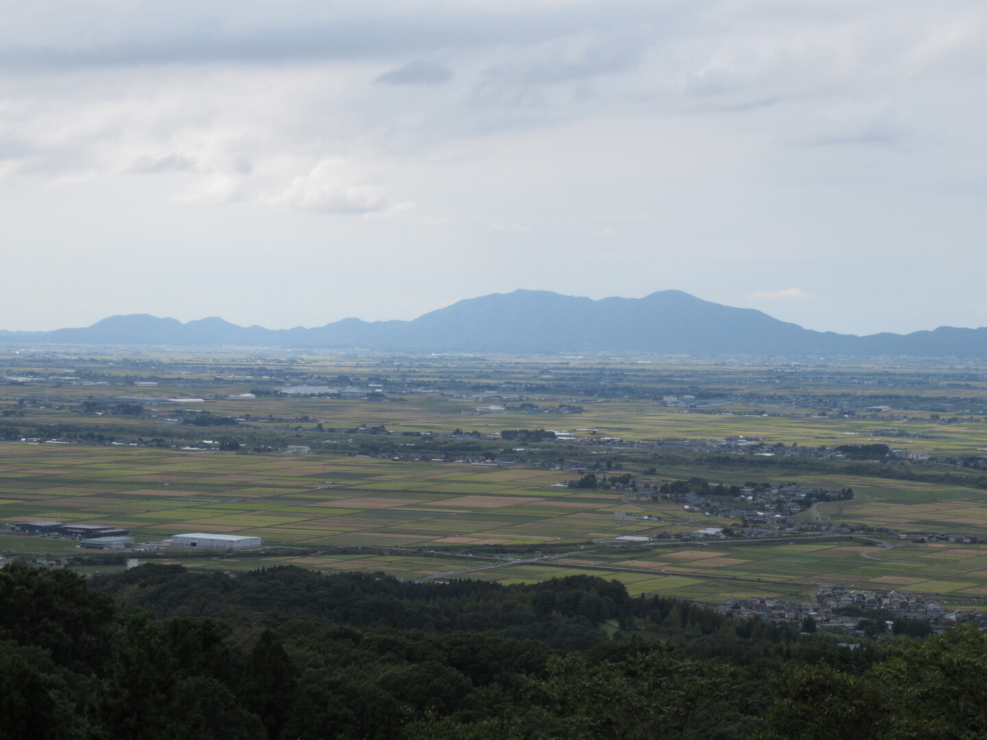 2020-09-15 護摩堂山（268.3m）271m / yamazukiさんの菩提寺山・高立山・護摩堂山の活動日記 | YAMAP / ヤマップ