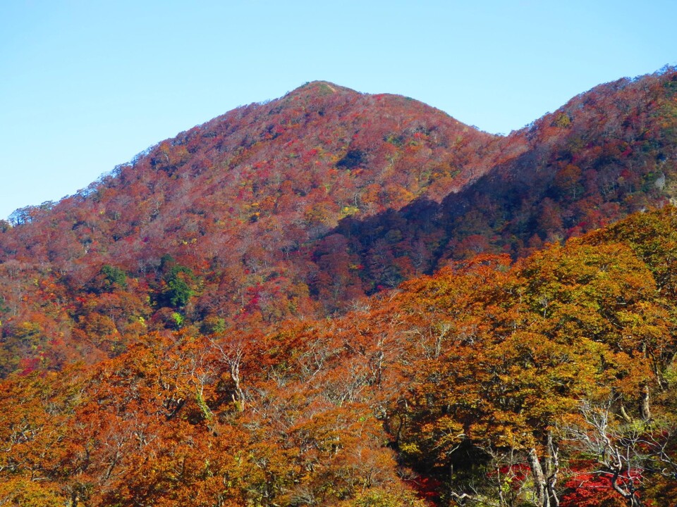 夜叉ヶ池登山口-夜叉ヶ池-夜叉丸 往復コースの地図・登山ルート・登山口情報 | YAMAP / ヤマップ