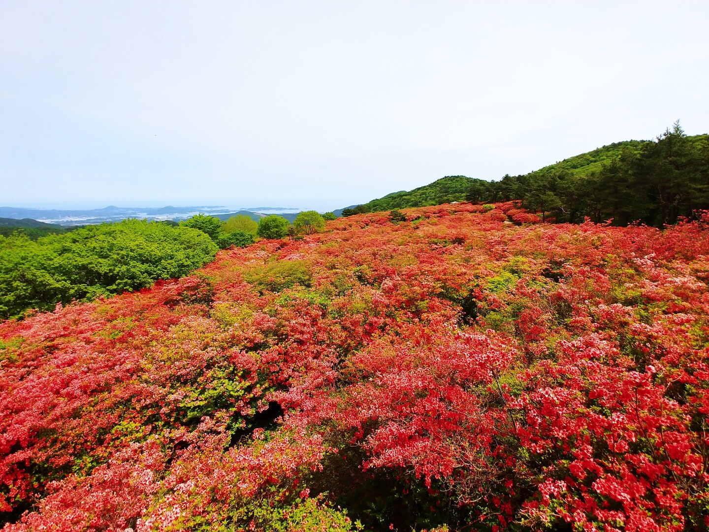 其の18 徳仙丈山 / TERITAMAさんの徳仙丈山の活動データ | YAMAP / ヤマップ