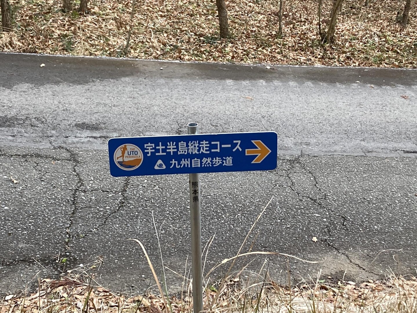 白山・大岳・雄岳・高野山・高野山西峰・聖岳・三角岳・オジンバ山・天翔台 / kiyo 096さんの三角岳の活動データ | YAMAP / ヤマップ