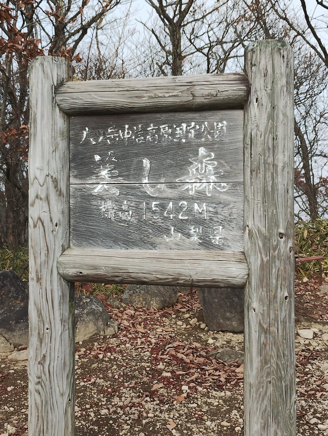 美し森山 / timさんの八ヶ岳（赤岳・硫黄岳・天狗岳）の活動データ | YAMAP / ヤマップ