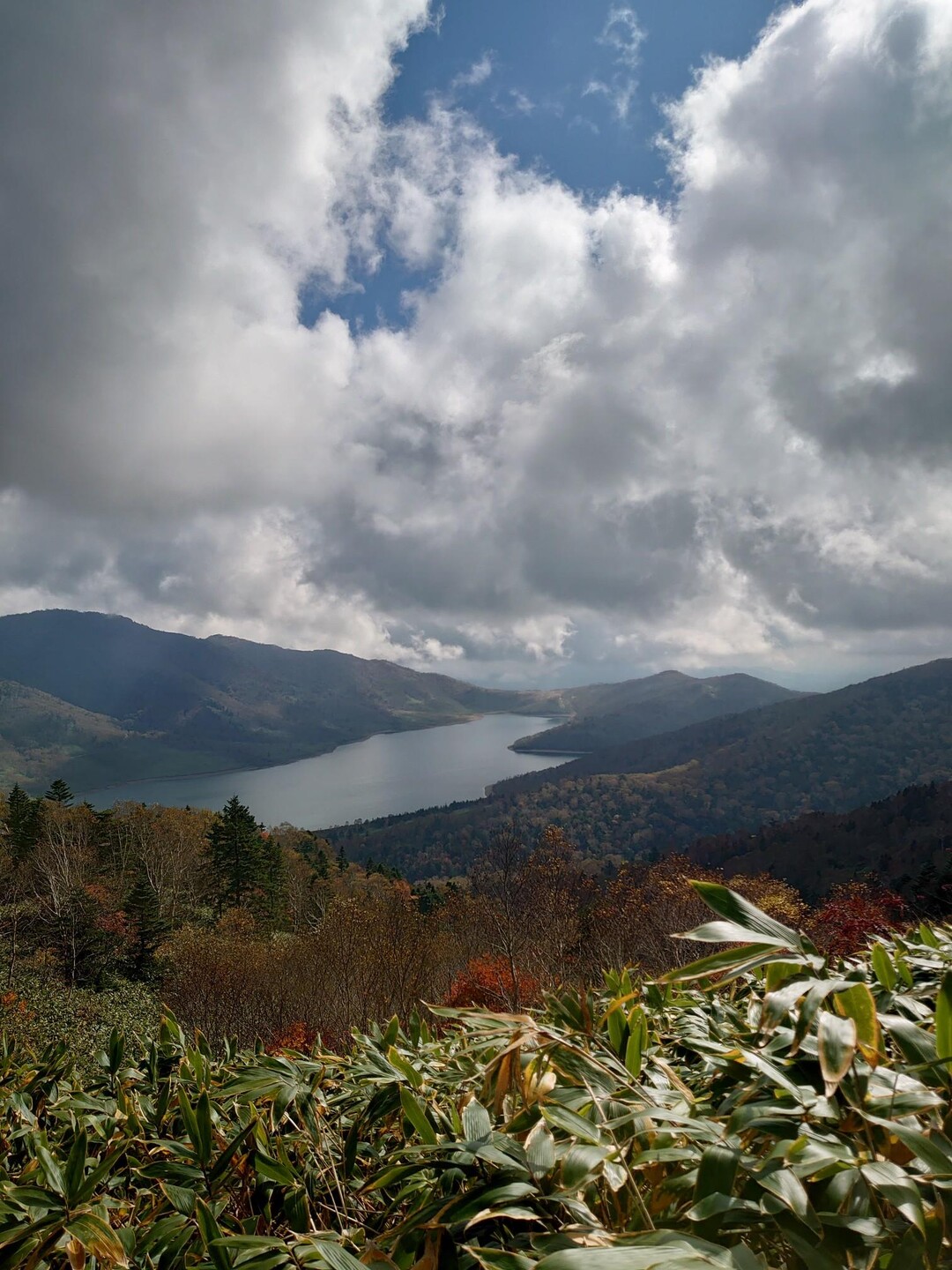 星ヶ丘山荘〜野反湖ハイク / J1さんの白砂山・堂岩山・八間山の活動データ | YAMAP / ヤマップ