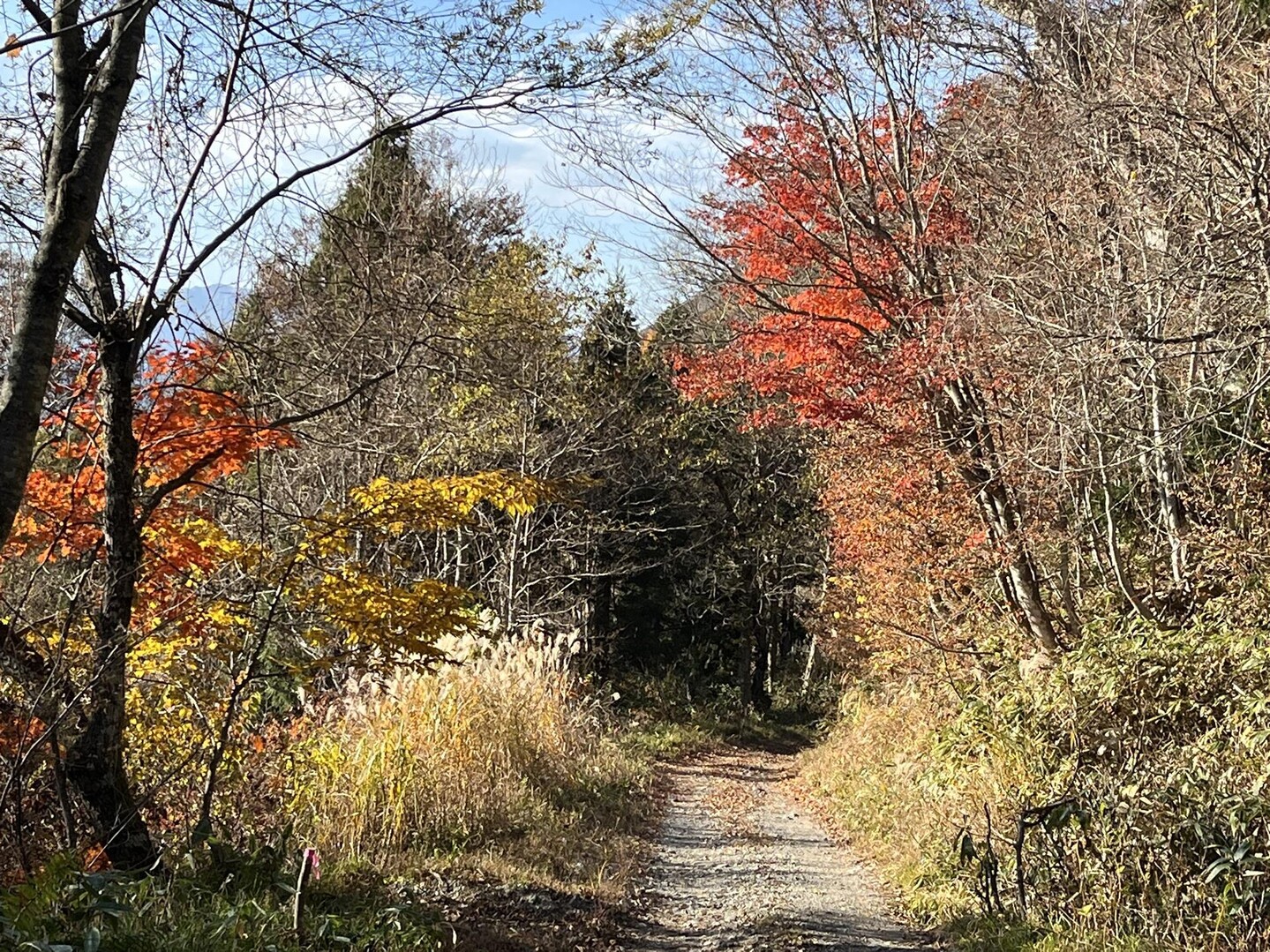 武尊山・剣ヶ峰山 / Jimamanさんの武尊山・鹿俣山・尼ヶ禿山の活動データ | YAMAP / ヤマップ
