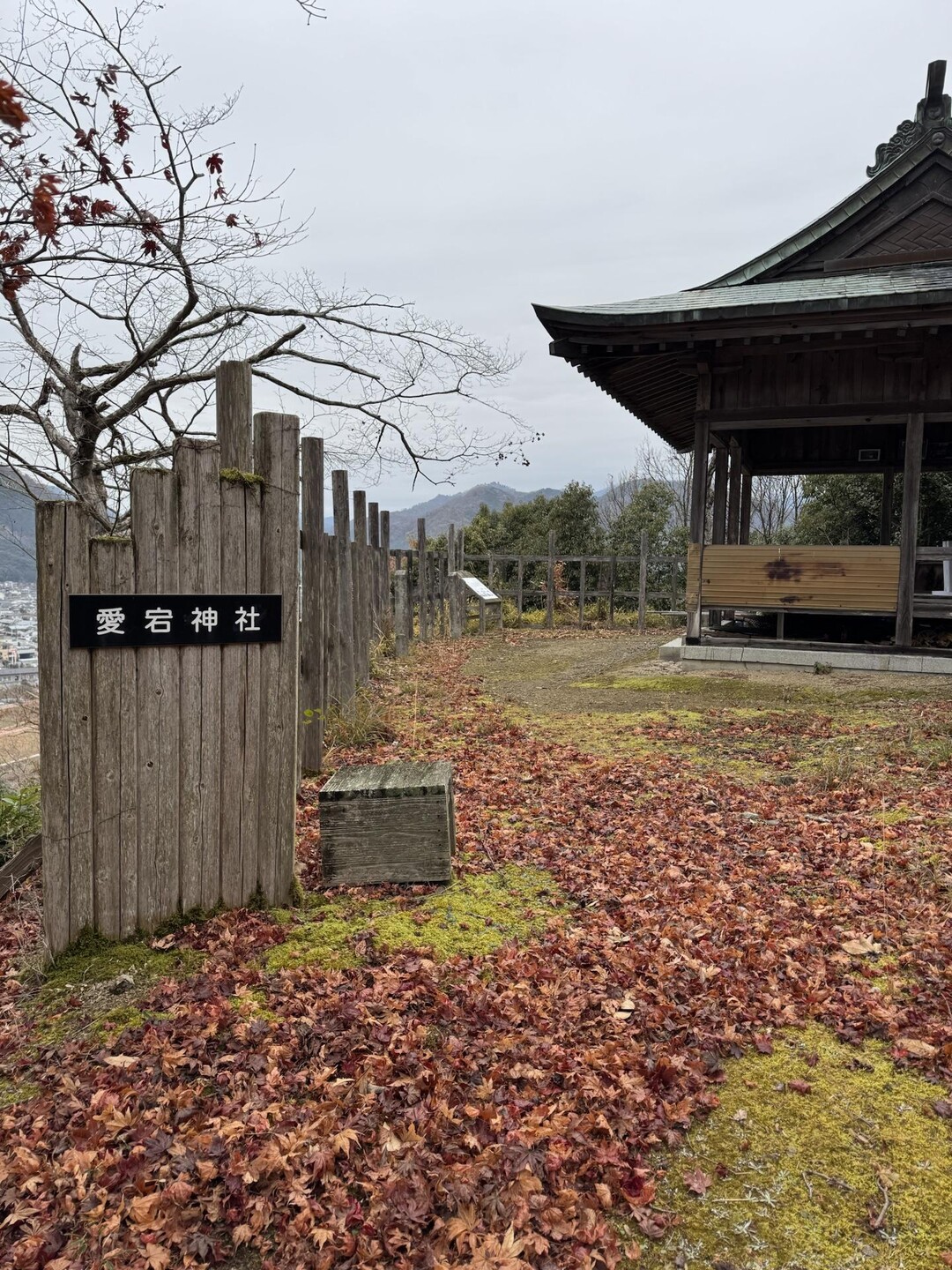 高取山 No.46 / S山さんの高取山の活動データ | YAMAP / ヤマップ