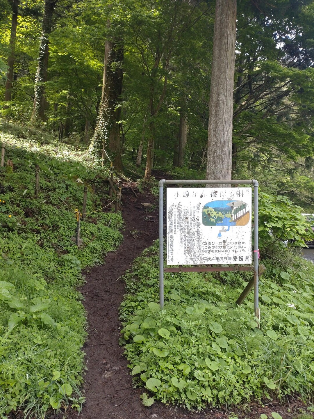 皿ヶ嶺＆♨ / Mr．ドイルさんの皿ヶ嶺・梅ヶ谷山・うなめごの活動データ | YAMAP / ヤマップ