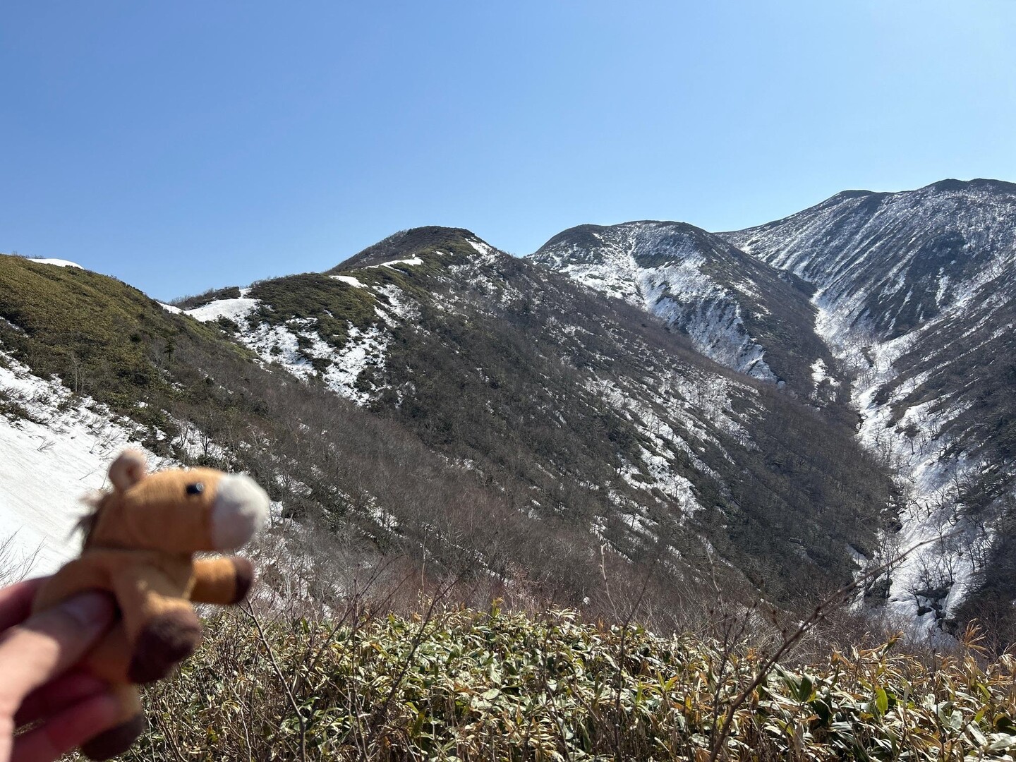 kaikeiちゃんねる(YouTube)さんの投稿したフィールドメモ | YAMAP / ヤマップ