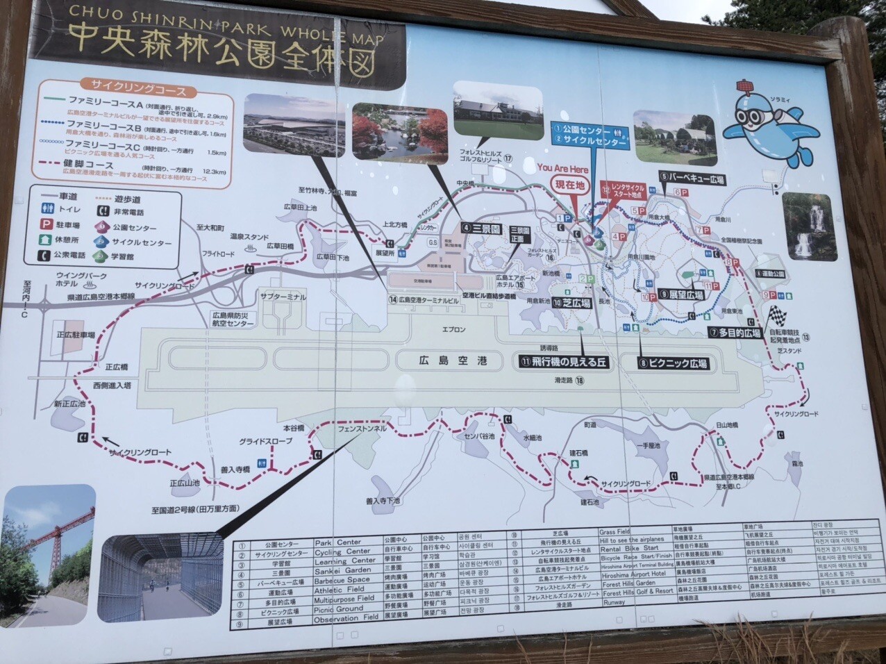 広島中央森林公園 / きゃさりんさんのモーメント | YAMAP / ヤマップ