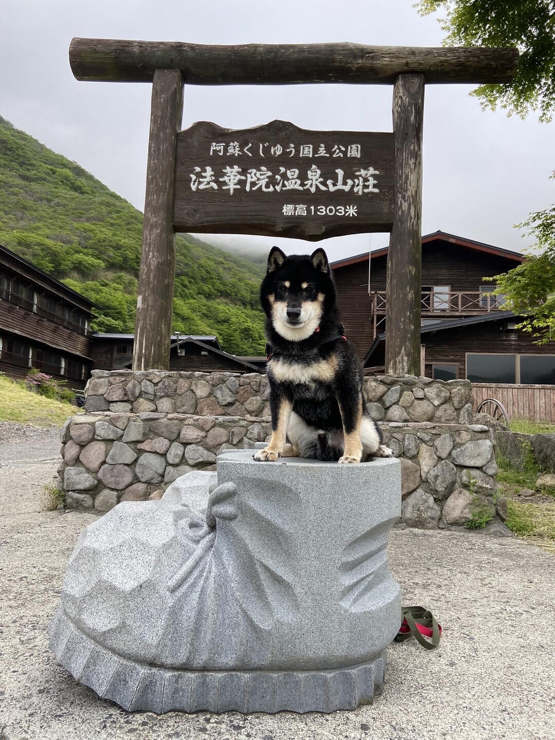 黑柴クロと坊がつる🐾 / クロさんの九重山（久住山）・大船山・星生山の活動日記 | YAMAP / ヤマップ