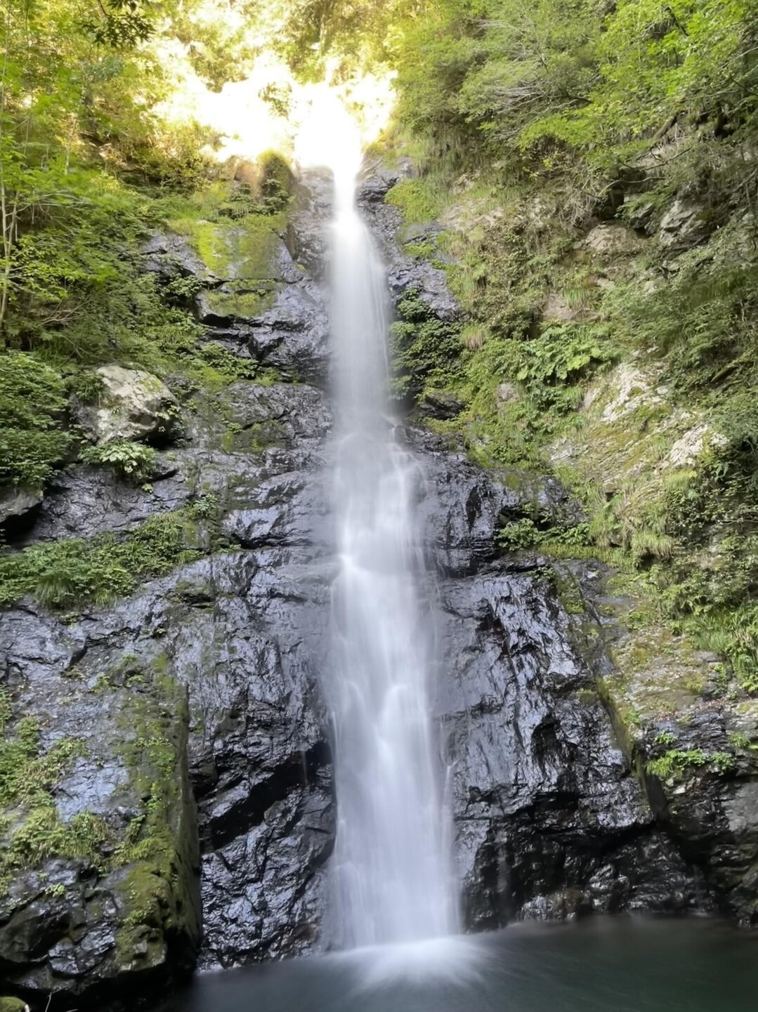 十方山 / なべ(ワンゲルOB)さんの十方山の活動データ | YAMAP / ヤマップ