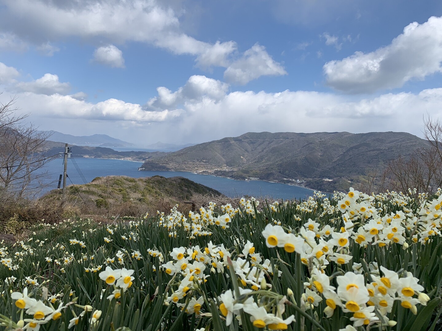城山・上盛山 / kbさんの皇座山・大星山・上盛山の活動日記 | YAMAP / ヤマップ