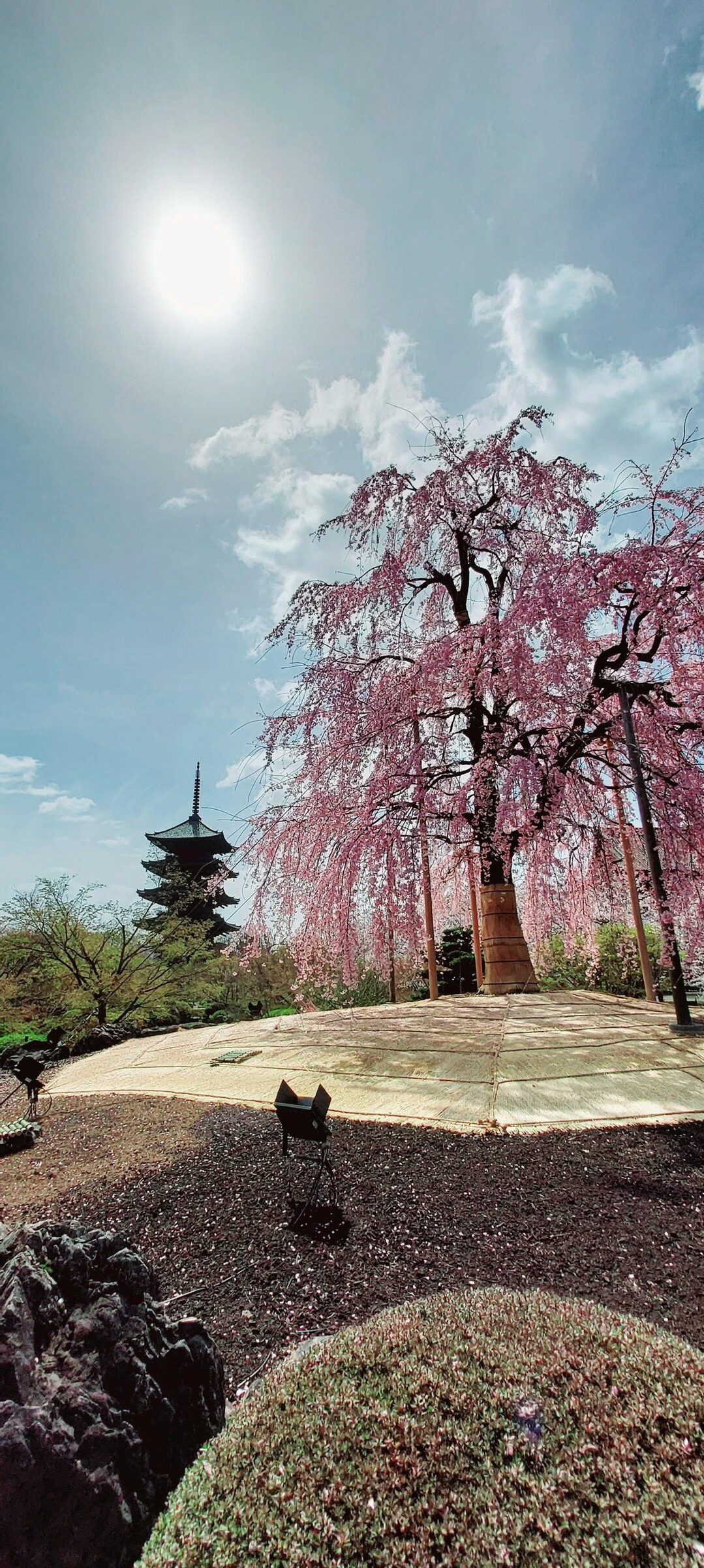 京都市-2023-03-27 / KOU-KUNさんの京都市の活動データ | YAMAP / ヤマップ