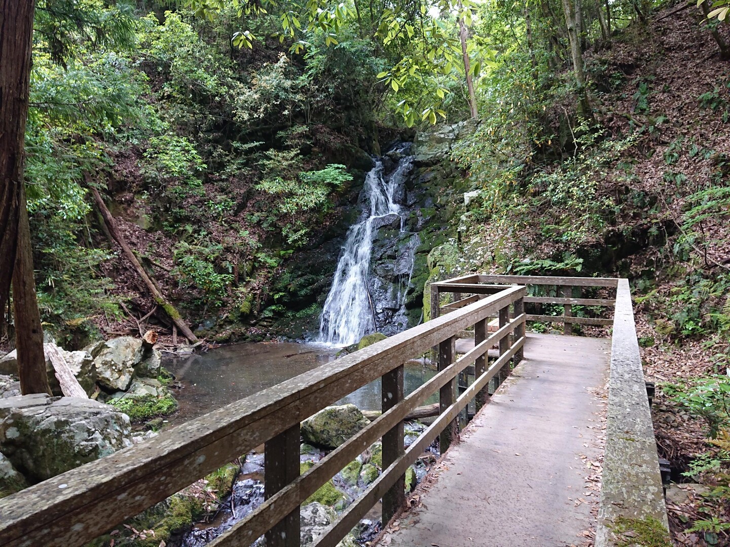 竜王山〜摂津峡 / ゆきやさんの竜王山・阿武山の活動データ | YAMAP / ヤマップ