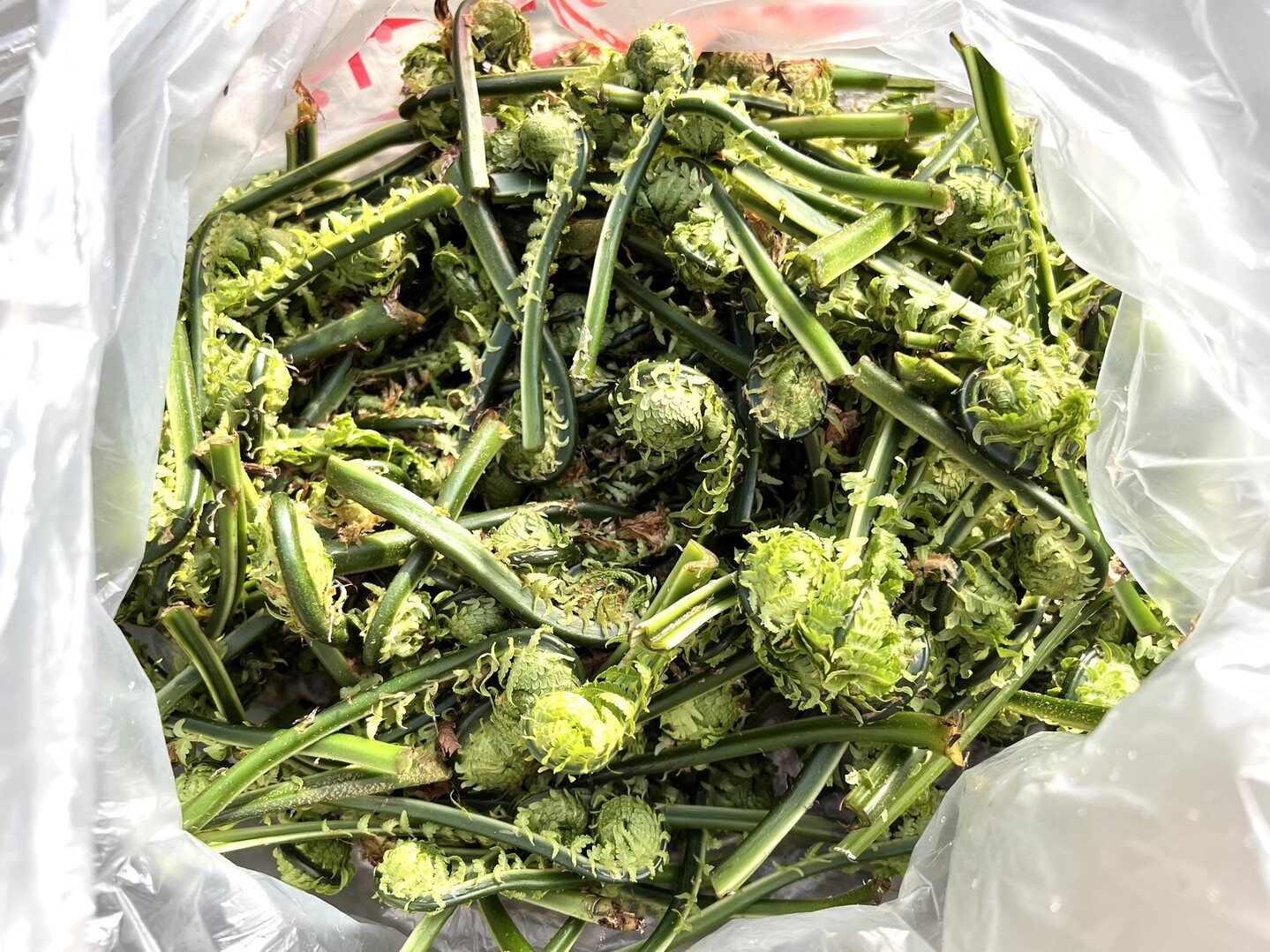 今日は、午前中家でダラダラ( ˊ̱˂˃ˋ... / Muraさんのモーメント | YAMAP / ヤマップ