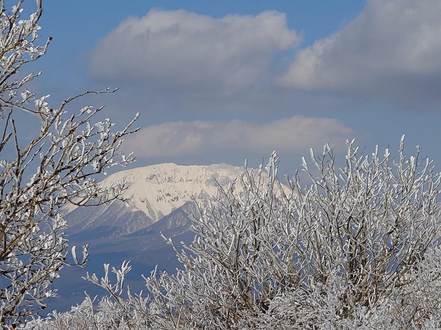 ハートの軌跡はゆるふわじゃなかった💔 / Sarahさんの毛無山の活動データ | YAMAP / ヤマップ