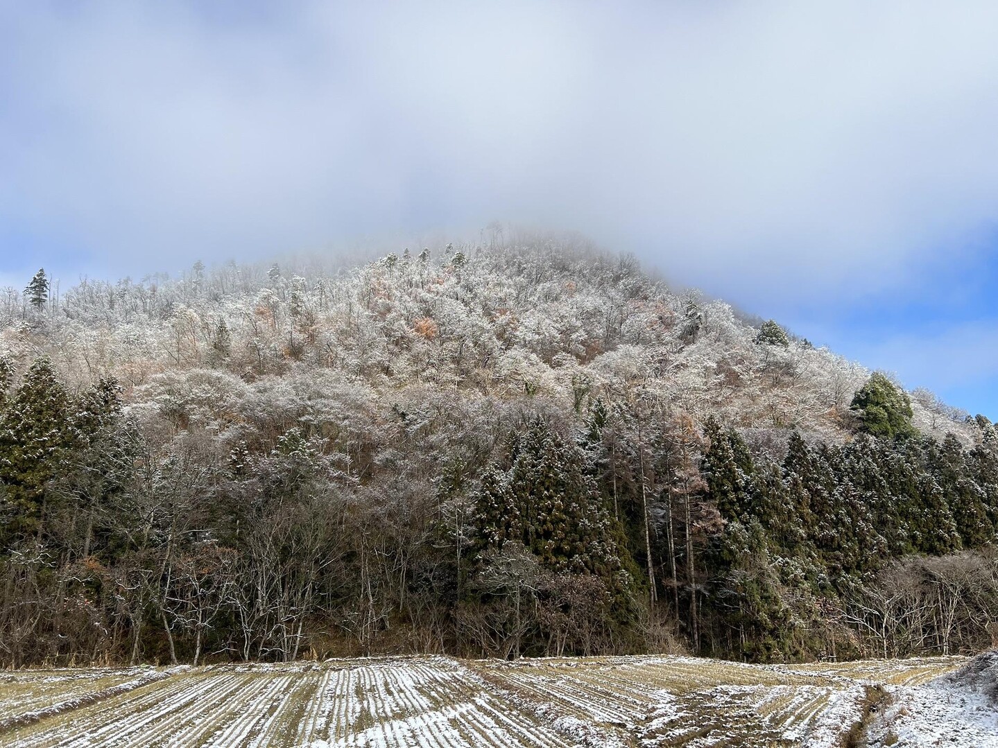 ワールドカップ決勝トーナメント進出記念！鷹取山・富神山2022-12-03 / ノリッコさんの白鷹丘陵トレイル（白鷹山・富神山・東黒森山）の活動データ | YAMAP / ヤマップ