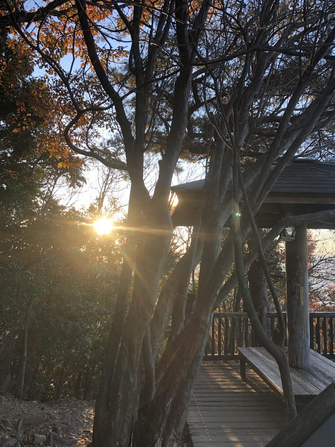ASK🏃‍♂️本宮山⛰⛰183.184 / スカじいさんの本宮山・大日山・風頭山の活動データ | YAMAP / ヤマップ