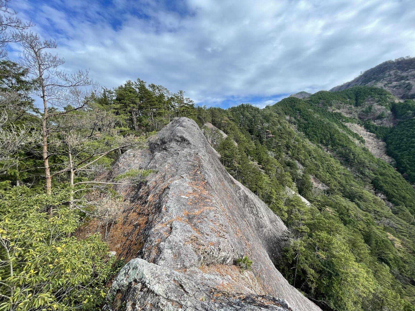 明神山 / GASさんの明神山（三ツ瀬明神山）の活動データ | YAMAP / ヤマップ