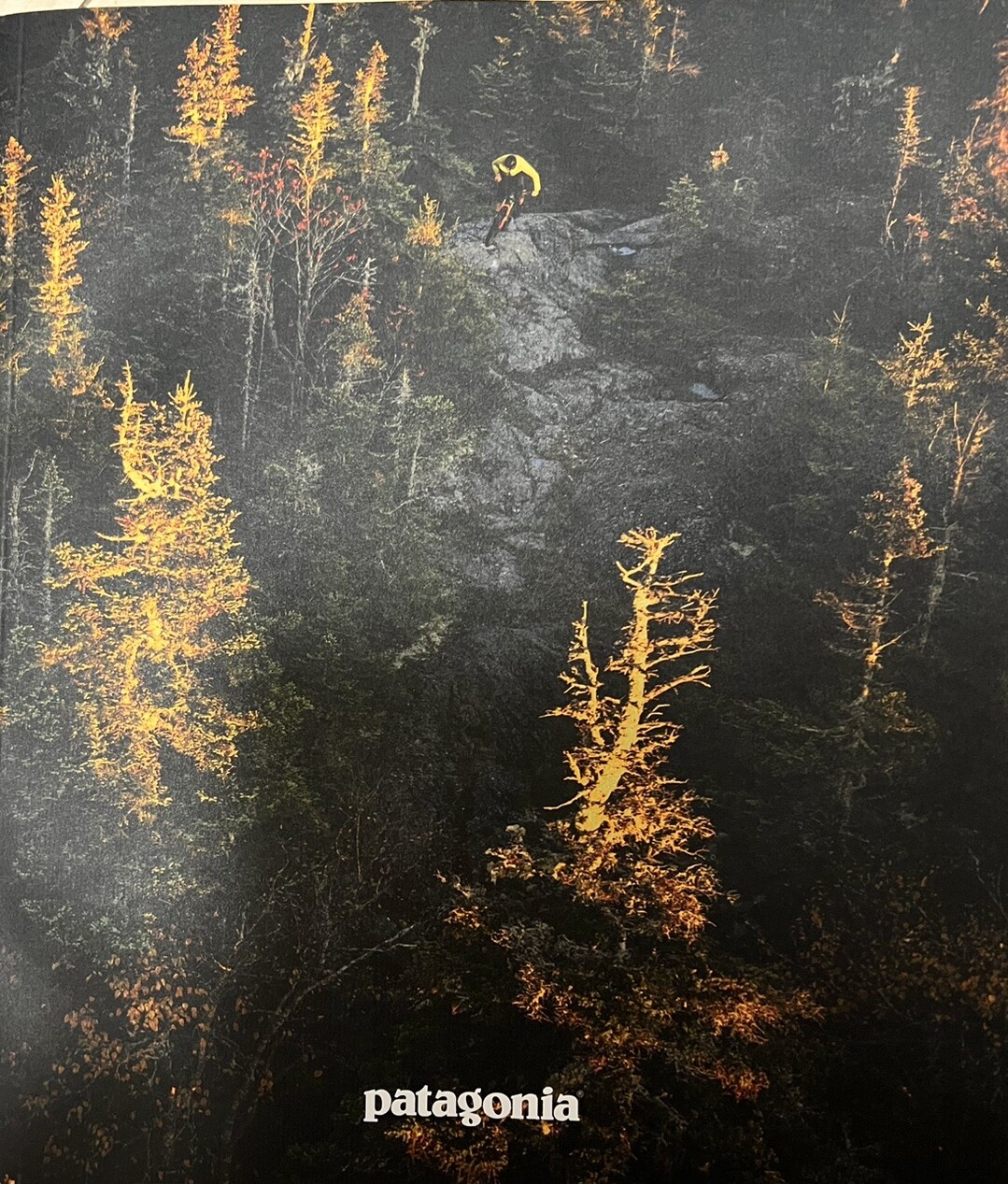 パタゴニアのカタログが届いた〜 / たつさんのモーメント | YAMAP / ヤマップ