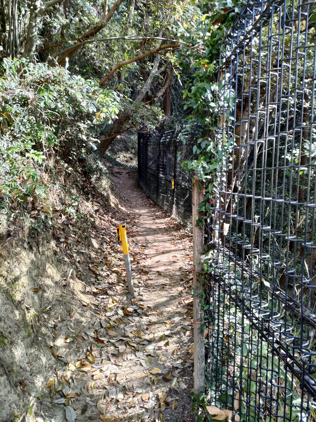 jiyoさんの投稿したフィールドメモ | YAMAP / ヤマップ