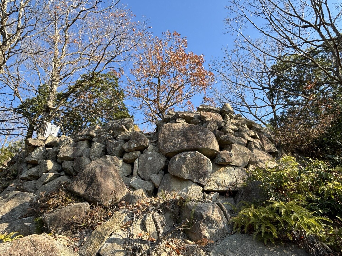 感状山城（2024-12-15） / saku sakuさんの登山の活動データ | YAMAP / ヤマップ