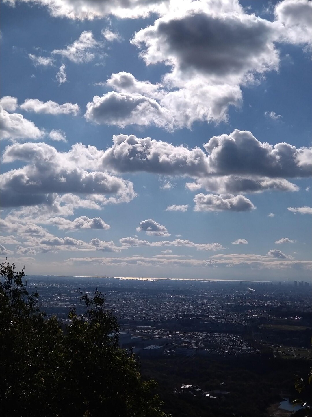 道樹山 ️弥勒山 / 彦hikoさんの春日井三山・弥勒山・大谷山・道樹山の活動データ | YAMAP / ヤマップ