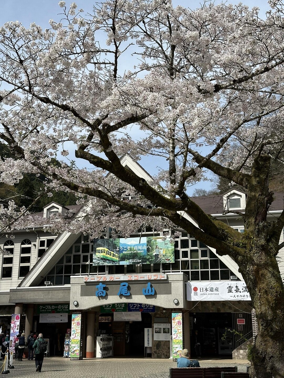 🌸高尾山〜陣馬山 27kmピストン / つぶあんさんの高尾山・陣馬山・景信山の活動データ | YAMAP / ヤマップ