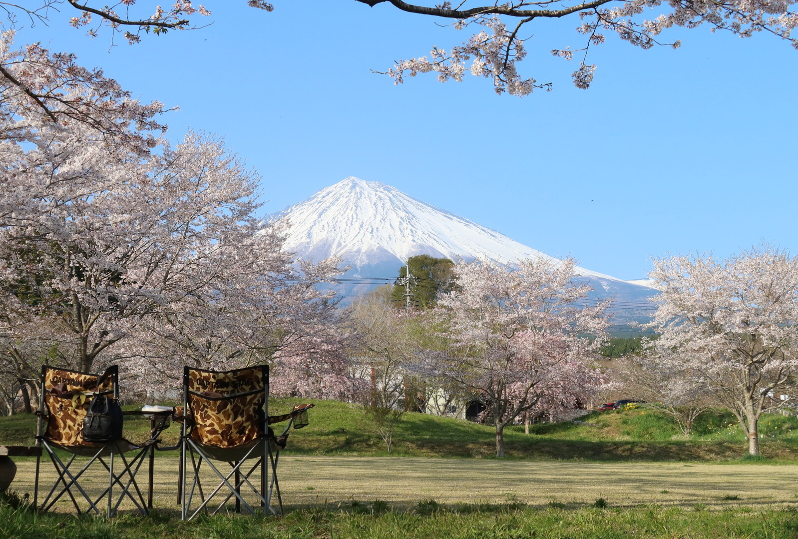 【富士山と桜の共演】 2022/04/1... / kunsanさんのモーメント | YAMAP / ヤマップ