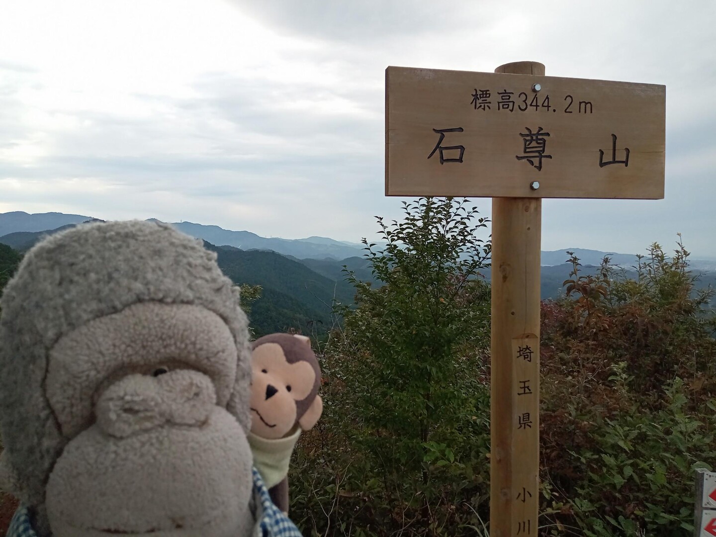 まさかの結末！埼玉低山ハイク / monkichi_1さんの堂平山・笠山（乳房山）・大霧山の活動日記 | YAMAP / ヤマップ