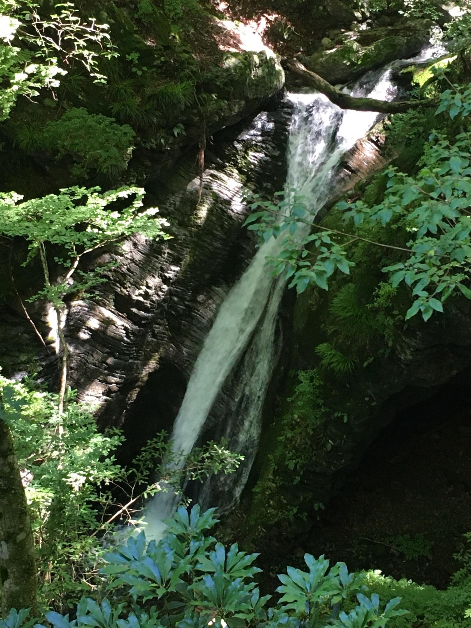 川苔山の見所 活動日記 https:/... / やまお沢さんのモーメント | YAMAP / ヤマップ