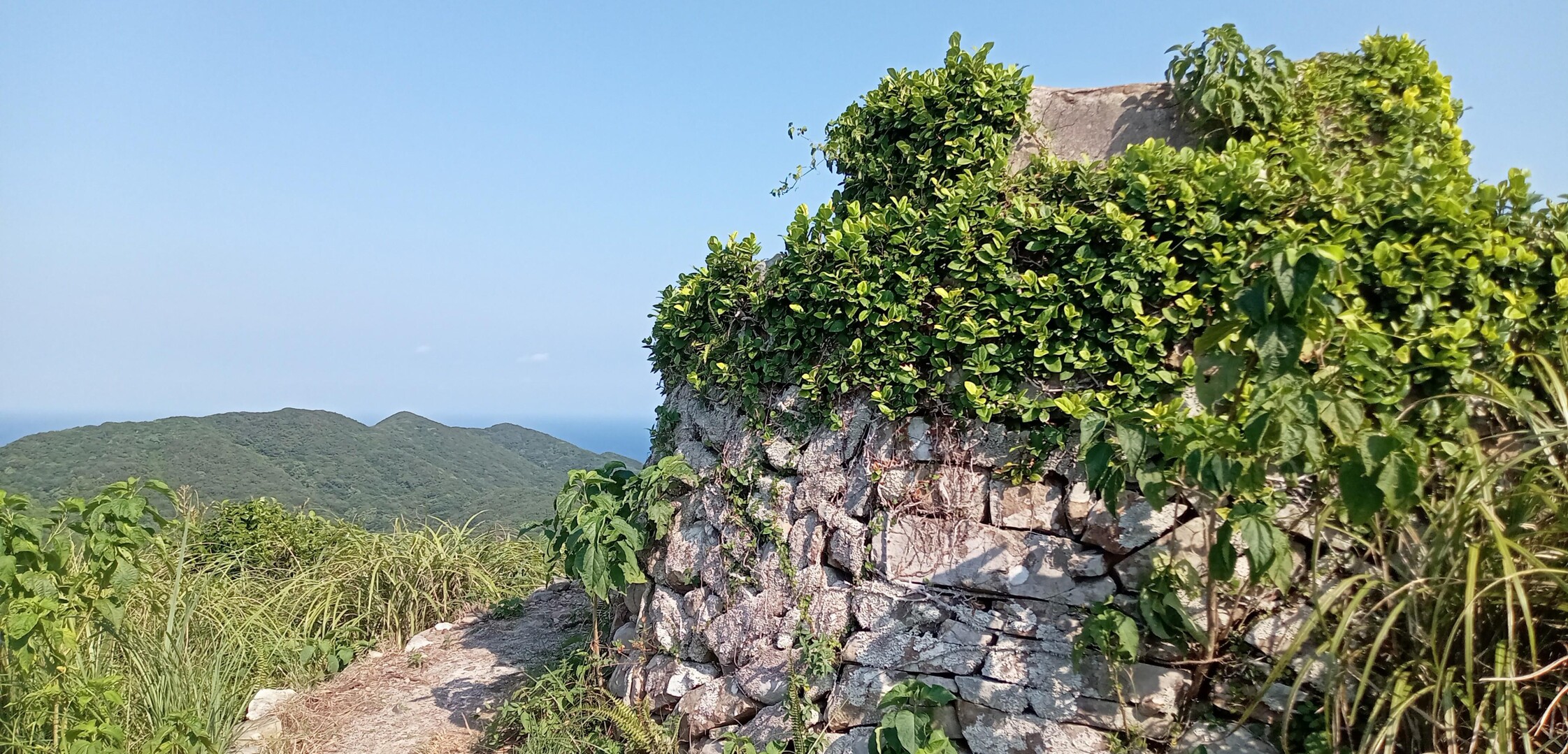 御岳 / HN^―^さんのウォーキングの活動データ | YAMAP / ヤマップ