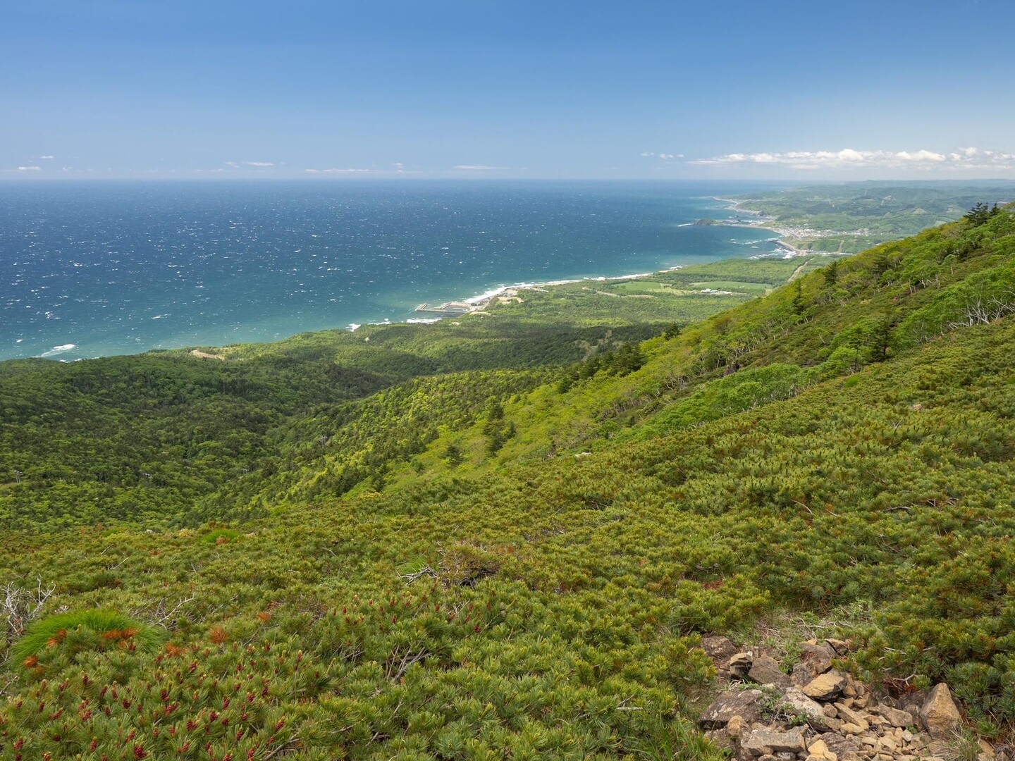 アポイ岳・吉田岳 / kozさんのアポイ岳の活動データ | YAMAP / ヤマップ
